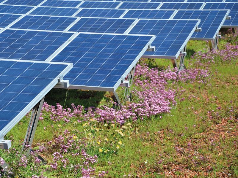 BauderSOLAR G LIGHT : Système photovoltaïque pour toitures végétalisées ...